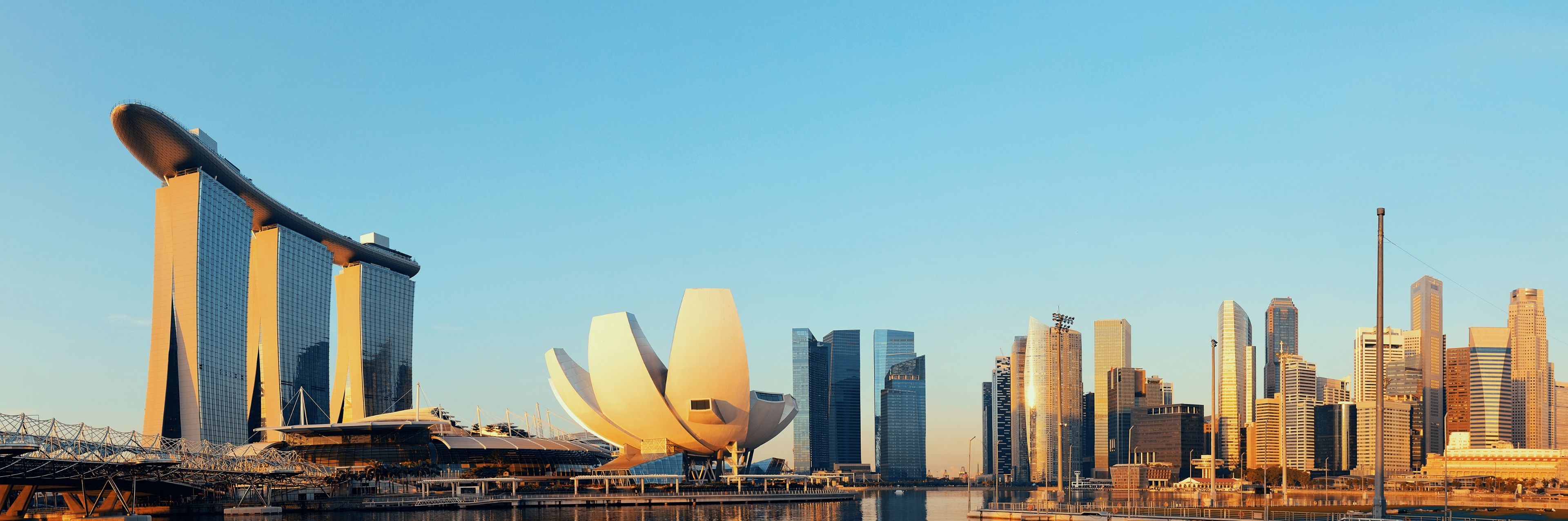 GOED | The Global Organization for EPA and DHA Omega-3s