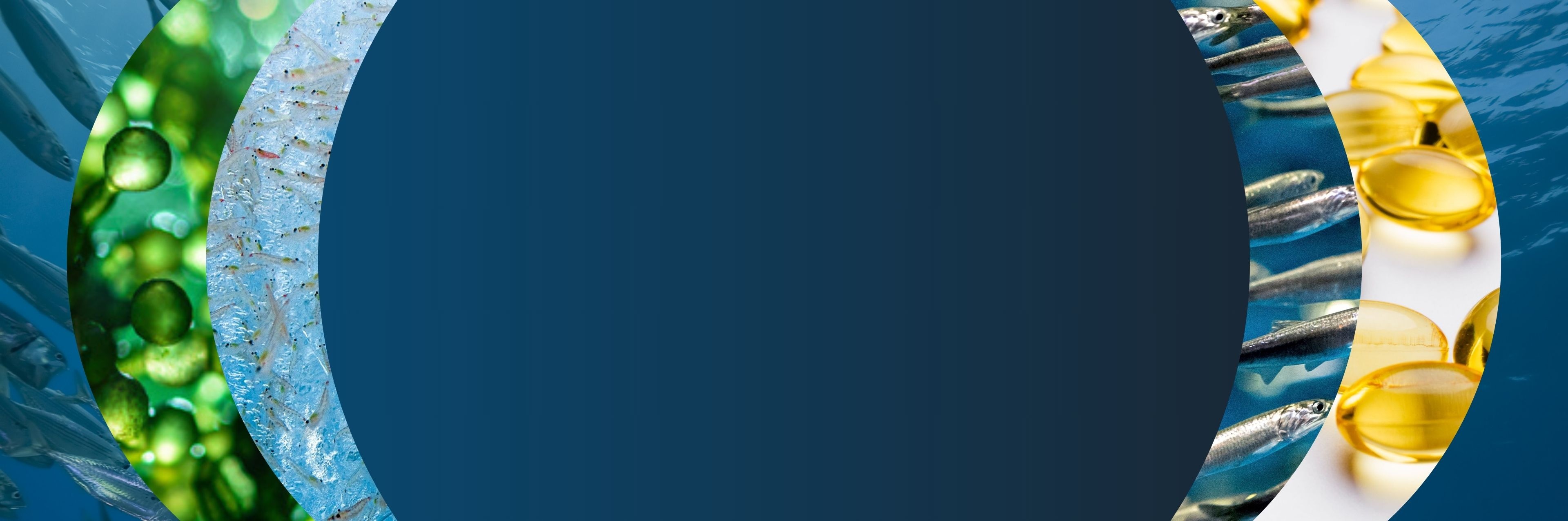 GOED | The Global Organization for EPA and DHA Omega-3s