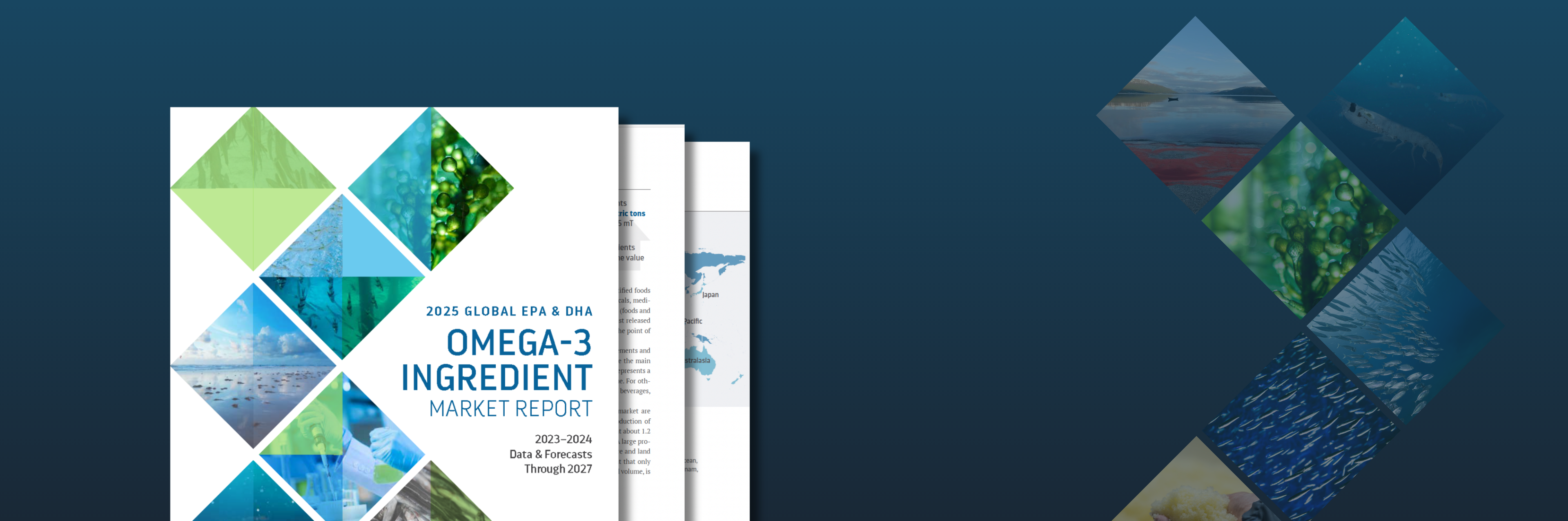 GOED | The Global Organization for EPA and DHA Omega-3s