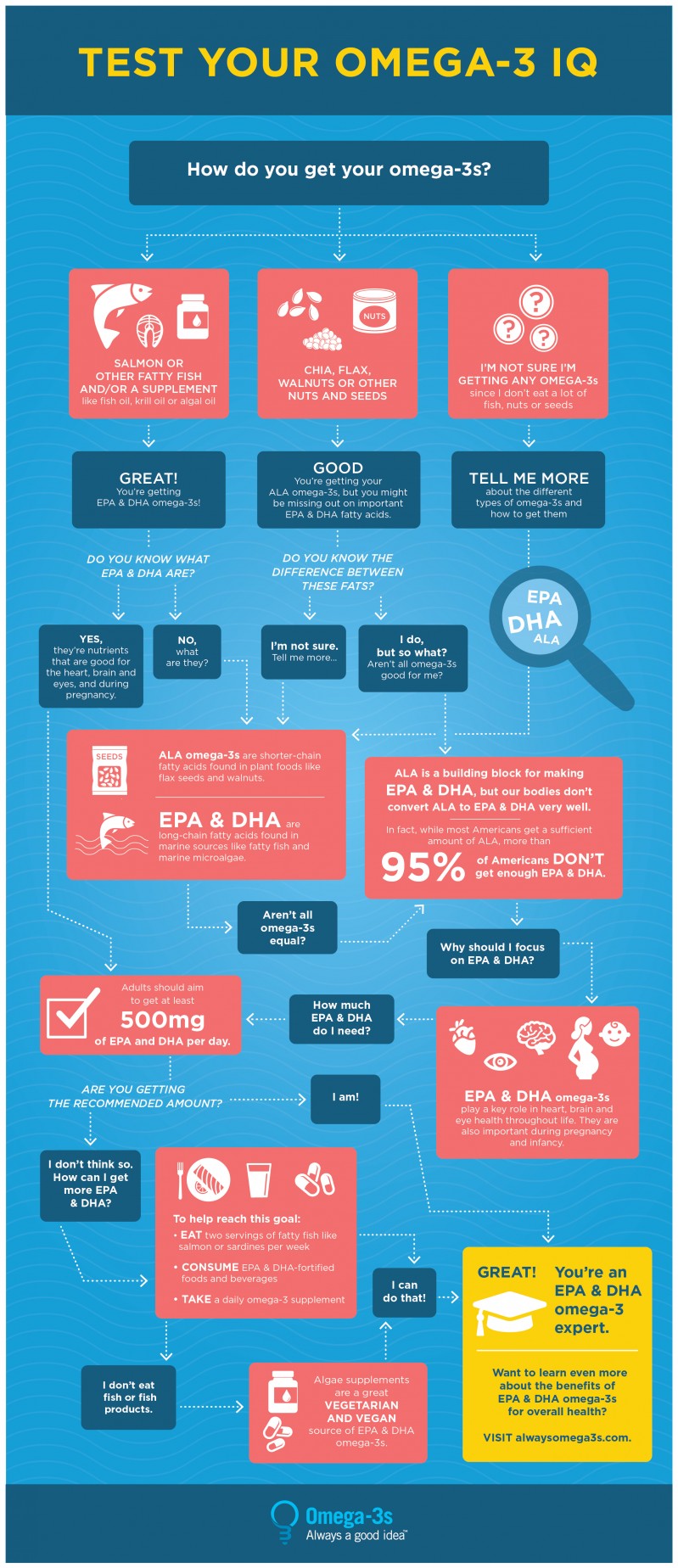 Infographics about EPA and DHA Omega-3s